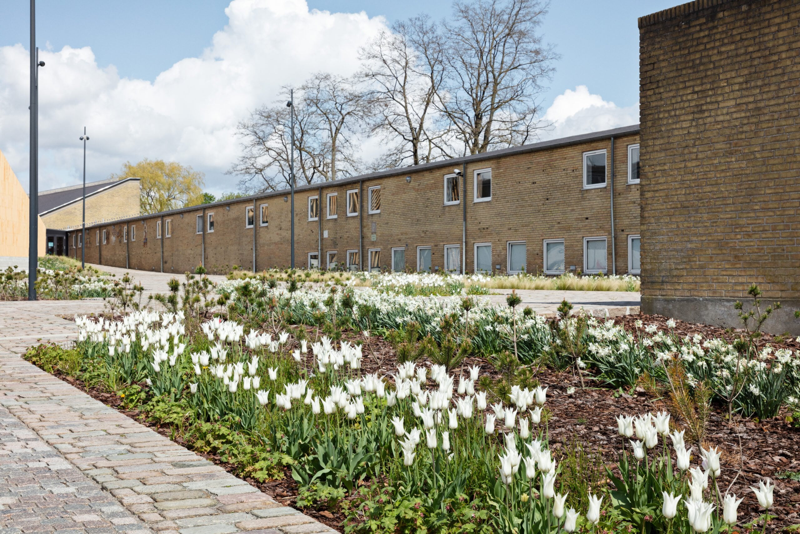 Tingbjerg Urban Square - Kragh Berglund