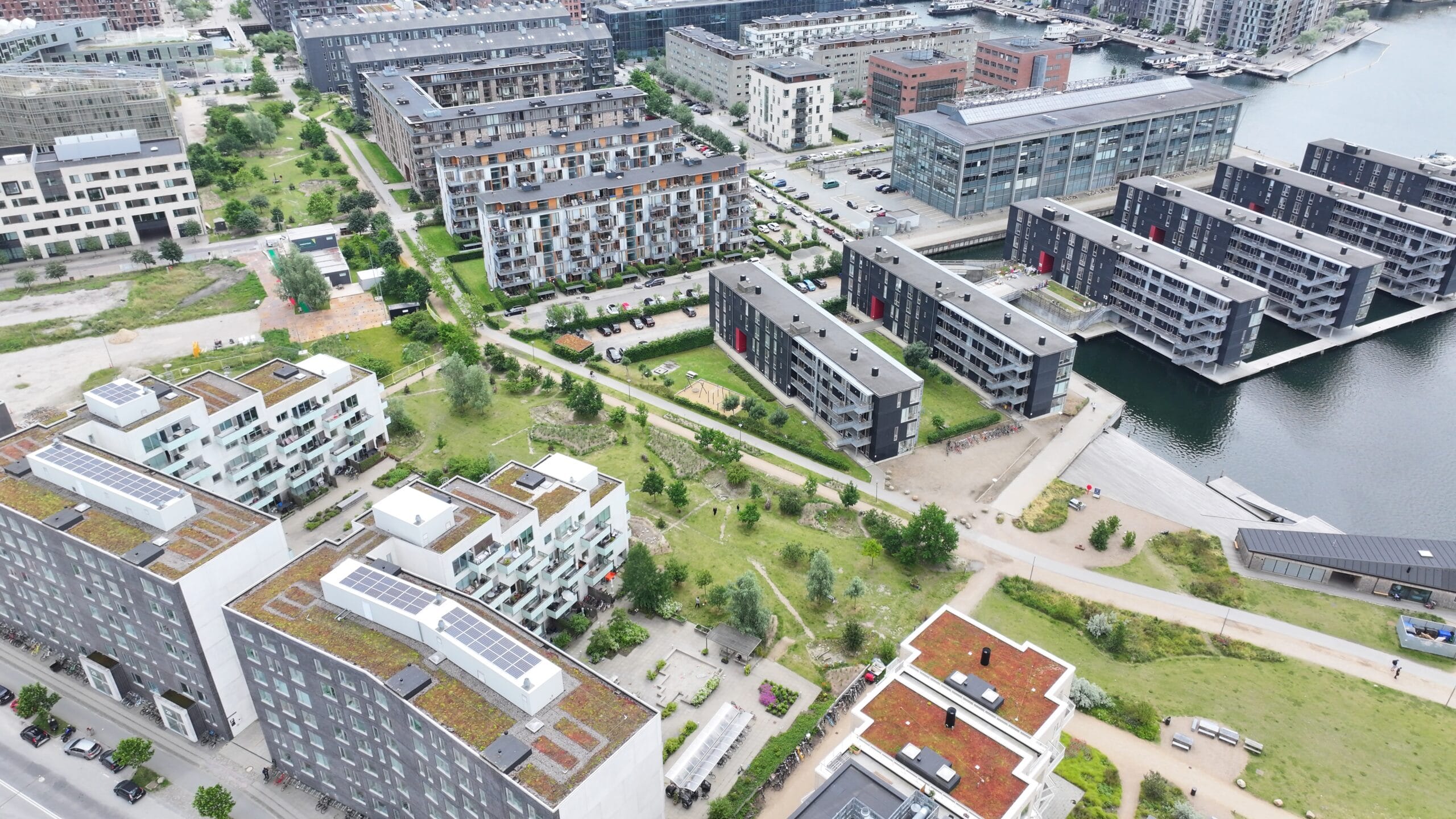 Den Grønne Kile - Kragh Berglund